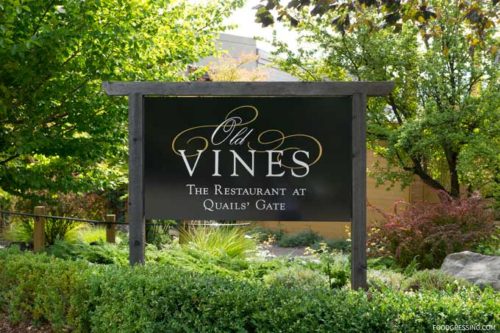 Wine Tasting and Dining at Quail's Gate Winery - Foodgressing
