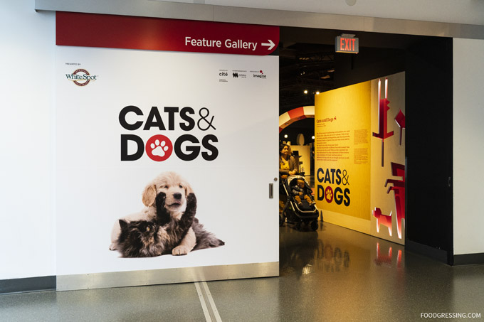Science World Exhibit: Cats & Dogs | Sept 22, 2019 - Jan 5, 2020
