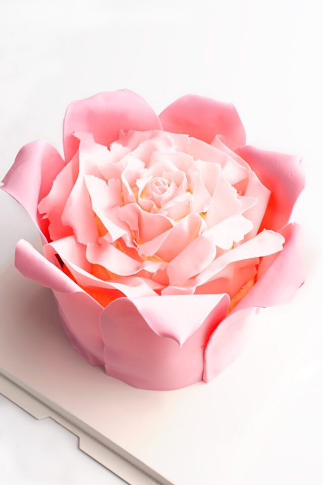 Rose Cake by Gary Patisserie [Review] - Foodgressing
