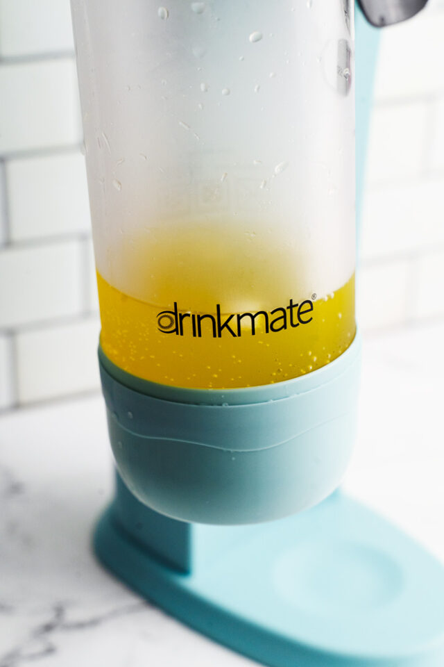 Drinkmate OmniFizz Review 2024 - Home Beverage Carbonator