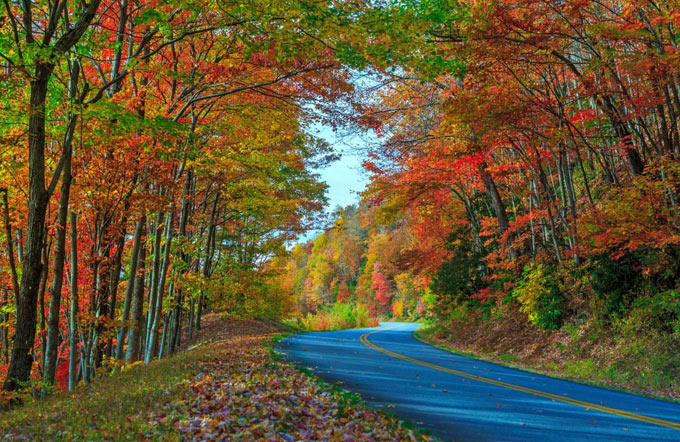 What's New in Fall 2022 in Asheville, NC