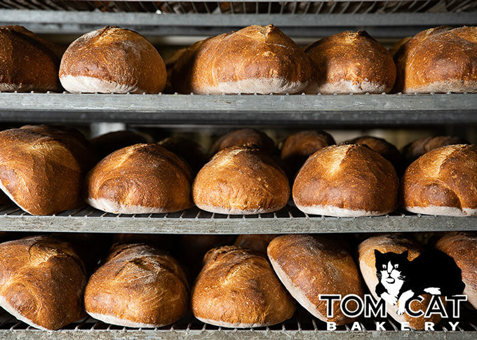 Tom Cat Bakery Goes Nationwide Through Dot Foods