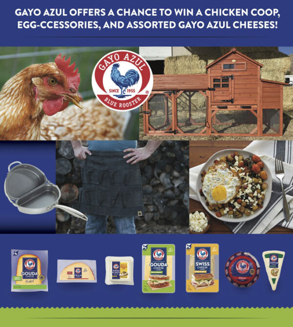 Gayo Azul Blue Rooster Chicken Coop Giveaway