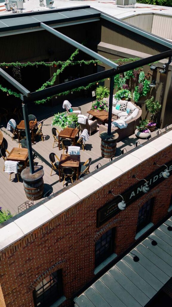 Fever-Tree Rooftop Botanical Bar Experience Asheville, NC