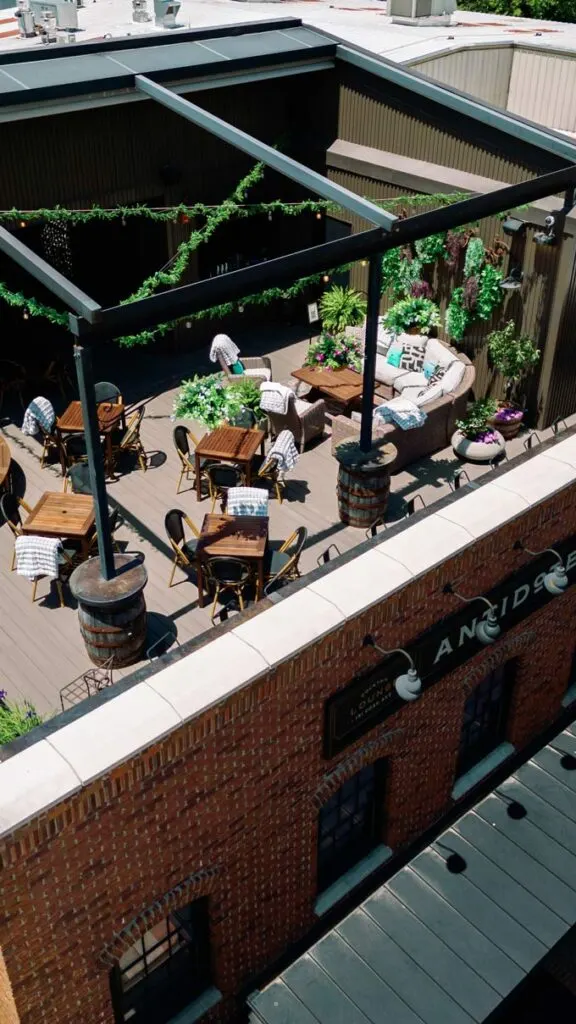 Fever-Tree Rooftop Botanical Bar Experience Asheville, NC