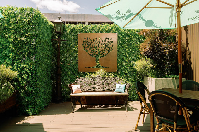 Fever-Tree Rooftop Botanical Bar Experience Asheville, NC