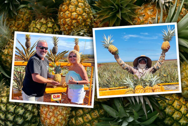 Dole Food Launches More Intimate Pineapple Farm Tour