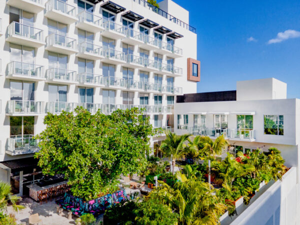 Higher Ground Miami: New Menu, Extended Hours, Event Lineup