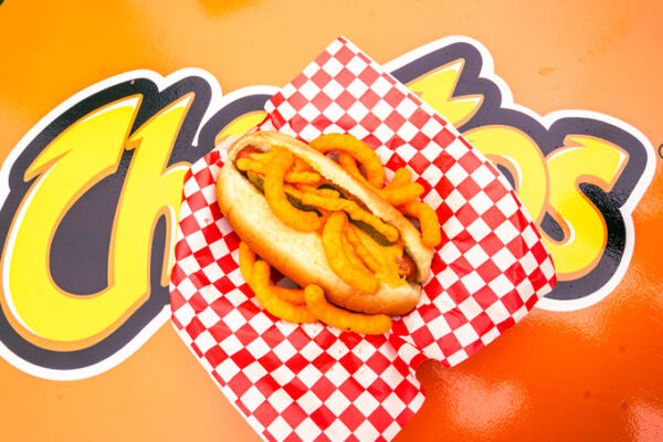 The Viral Cheetle Statue Makes Its Return … This Time Alongside a ...