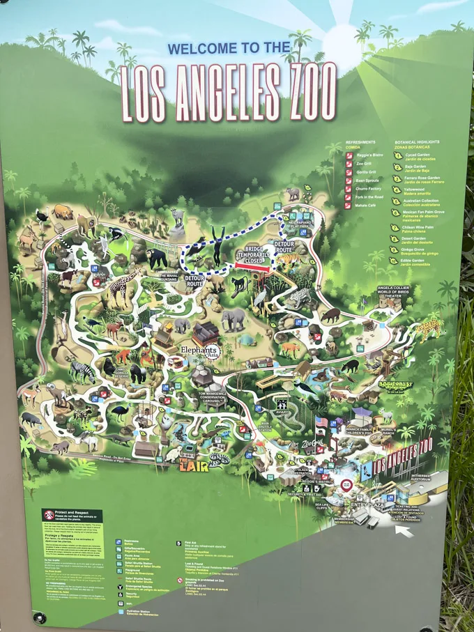L.A. Zoo Visit Highlights + How to Save Money on Admission
