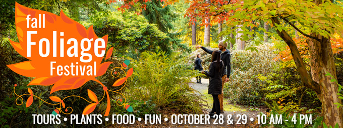 Halloween in Seattle Washington 2023 - Foodgressing