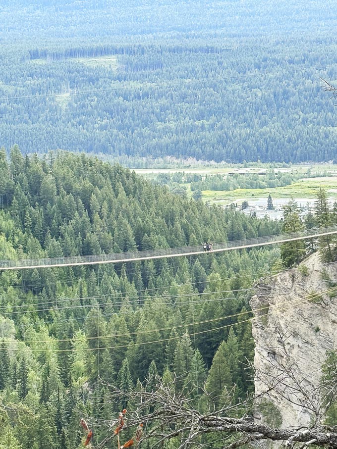 Golden Skybridge: Suspension Bridges, Ziplines, Rope Courses - Foodgressing